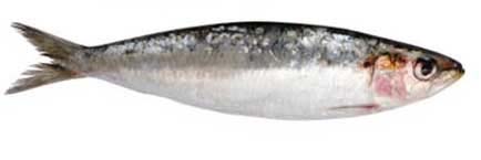 Tijdgeest Megazien 15 januari 2018 | Tijdgeest Magazine